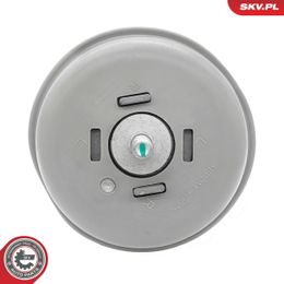 ESEN SKV Lagerung, Motor 75skv133 links f&uuml;r Audi