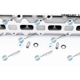DR.MOTOR AUTOMOTIVE Zylinderkopf drm61403 f&uuml;r IVECO PEUGEOT