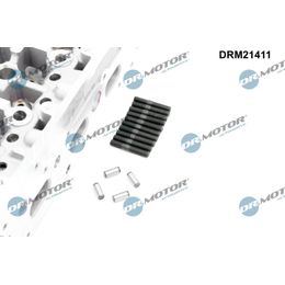 DR.MOTOR AUTOMOTIVE Zylinderkopf drm21411 f&uuml;r VW AUDI