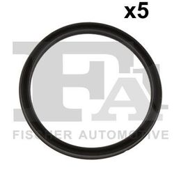 FA1 Dichtring, Ladeluftschlauch 076707005 f&uuml;r RENAULT BMW