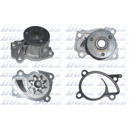 DOLZ Wasserpumpe n161 f&uuml;r DACIA