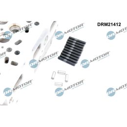 DR.MOTOR AUTOMOTIVE Zylinderkopf drm21412 f&uuml;r VW