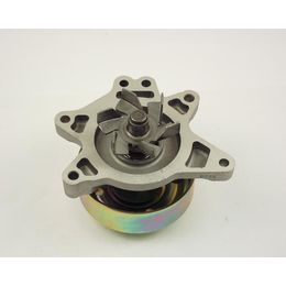 TRISCAN Wasserpumpe 860013017 f&uuml;r TOYOTA