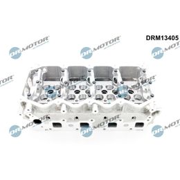 DR.MOTOR AUTOMOTIVE Zylinderkopf drm13405 f&uuml;r NISSAN