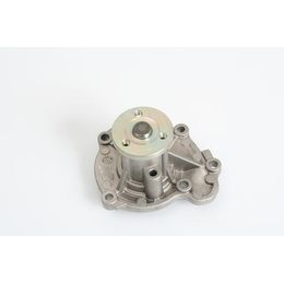 TRISCAN Wasserpumpe 860014014 f&uuml;r NISSAN
