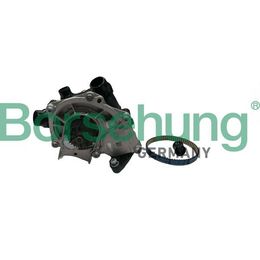 BORSEHUNG Wasserpumpe b11210 f&uuml;r VAG