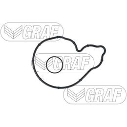 Graf Wasserpumpe pa1499 f&uuml;r BMW