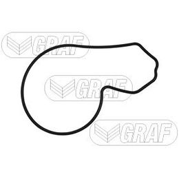 Graf Wasserpumpe pa1013 f&uuml;r HONDA