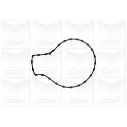 Graf Wasserpumpe pa1134 f&uuml;r TOYOTA LOTUS