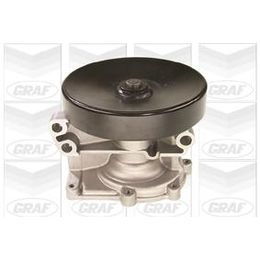 Graf Wasserpumpe pa636 f&uuml;r SAAB RENAULT