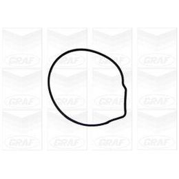Graf Wasserpumpe pa676 f&uuml;r VW AUDI SEAT