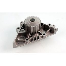 Hepu Wasserpumpe p894 f&uuml;r Peugeot Citro&euml;n/Peugeot