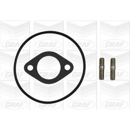 Graf Wasserpumpe pa751 f&uuml;r Vaughall Opel RENAULT TRUCKS