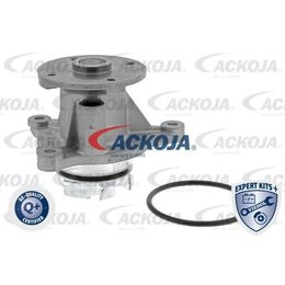 ACKOJA Wasserpumpe a520708 f&uuml;r HYUNDAI