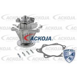 ACKOJA Wasserpumpe a3850008 f&uuml;r NISSAN