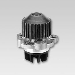 Hepu Wasserpumpe p802 f&uuml;r Citro&euml;n/Peugeot Peugeot