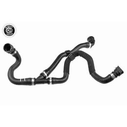 VAICO K&uuml;hlerschlauch v203622 unten f&uuml;r BMW