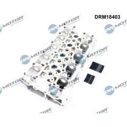 DR.MOTOR AUTOMOTIVE Zylinderkopf drm18403 f&uuml;r VAUXHALL NISSAN RENAULT