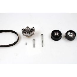Hepu Wasserpumpe + Zahnriemensatz pk09560 f&uuml;r RENAULT Opel Vaughall GM NISSAN TRUCKS