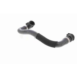 VAICO K&uuml;hlerschlauch v203865 f&uuml;r BMW