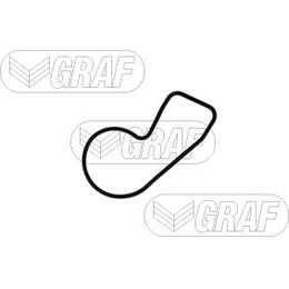 Graf Wasserpumpe pa1401 f&uuml;r NISSAN DACIA