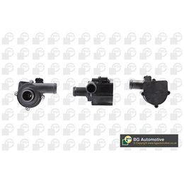 BGA Zusatzwasserpumpe cp0146acp f&uuml;r VW