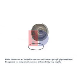 AKS DASIS Wasserpumpe 570480n f&uuml;r Opel