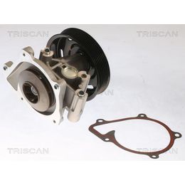 TRISCAN Wasserpumpe 860016073 f&uuml;r Ford