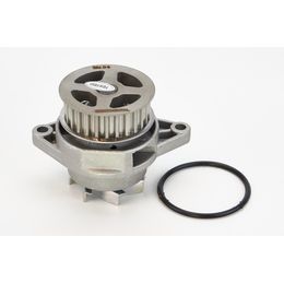 CONTINENTAL CTAM Wasserpumpe wp6029 f&uuml;r VW