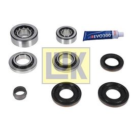 SCHAEFFLER LUK Reparatursatz, Differential 462021510 f&uuml;r BMW