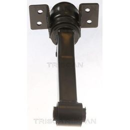 TRISCAN Lagerung, Motor 850516100 f&uuml;r Ford