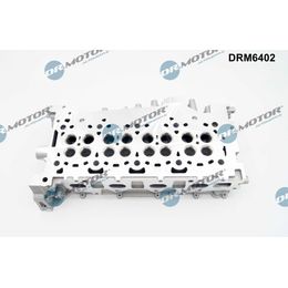 DR.MOTOR AUTOMOTIVE Zylinderkopf drm6402 f&uuml;r FORD