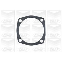 Graf Wasserpumpe pa554 f&uuml;r Fiat ZASTAVA LANCIA