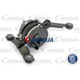 ACKOJA Wasserpumpe, K&uuml;hlkreislauf elektrischer Antrieb a52160001 f&uuml;r KIA