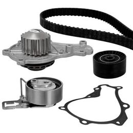 METELLI Wasserpumpe + Zahnriemensatz 3009385 f&uuml;r Ford Vaughall DS TOYOTA