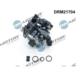 DR.MOTOR AUTOMOTIVE Wasserpumpe drm21704 f&uuml;r VW