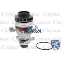 ACKOJA Wasserpumpe a3850011 f&uuml;r NISSAN