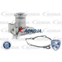 ACKOJA Wasserpumpe a5250001 f&uuml;r HYUNDAI
