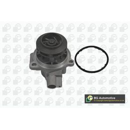 BGA Wasserpumpe cp0108 f&uuml;r VW