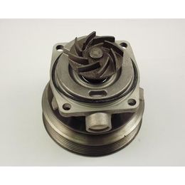 TRISCAN Wasserpumpe 860010006 f&uuml;r Peugeot Fiat