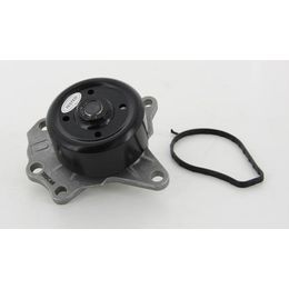 TRISCAN Wasserpumpe 860013041 f&uuml;r TOYOTA
