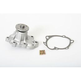 TRISCAN Wasserpumpe 860013863 f&uuml;r TOYOTA