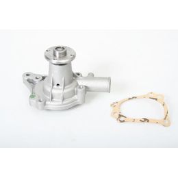 TRISCAN Wasserpumpe 860017005 f&uuml;r INNOCENTI ROVER
