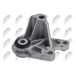 NTY Lagerung, Motor zpsfr074 hinten f&uuml;r Ford Volvo