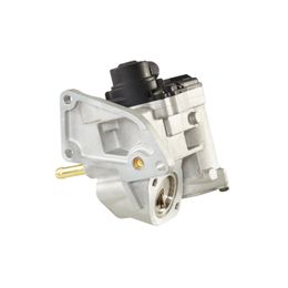 Hella AGR-Ventil 6nu010171811 f&uuml;r VW