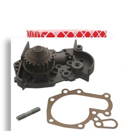 febi bilstein Wasserpumpe 09027 f&uuml;r RENAULT