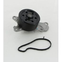 TRISCAN Wasserpumpe 860010039 f&uuml;r TOYOTA Peugeot