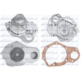DOLZ Wasserpumpe r131 f&uuml;r RENAULT