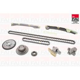 FAI AUTOPARTS Steuerkettensatz tck139 unten f&uuml;r NISSAN RENAULT