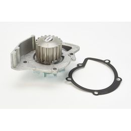 CONTINENTAL CTAM Wasserpumpe wp6075 f&uuml;r Ford Volvo Peugeot Fiat